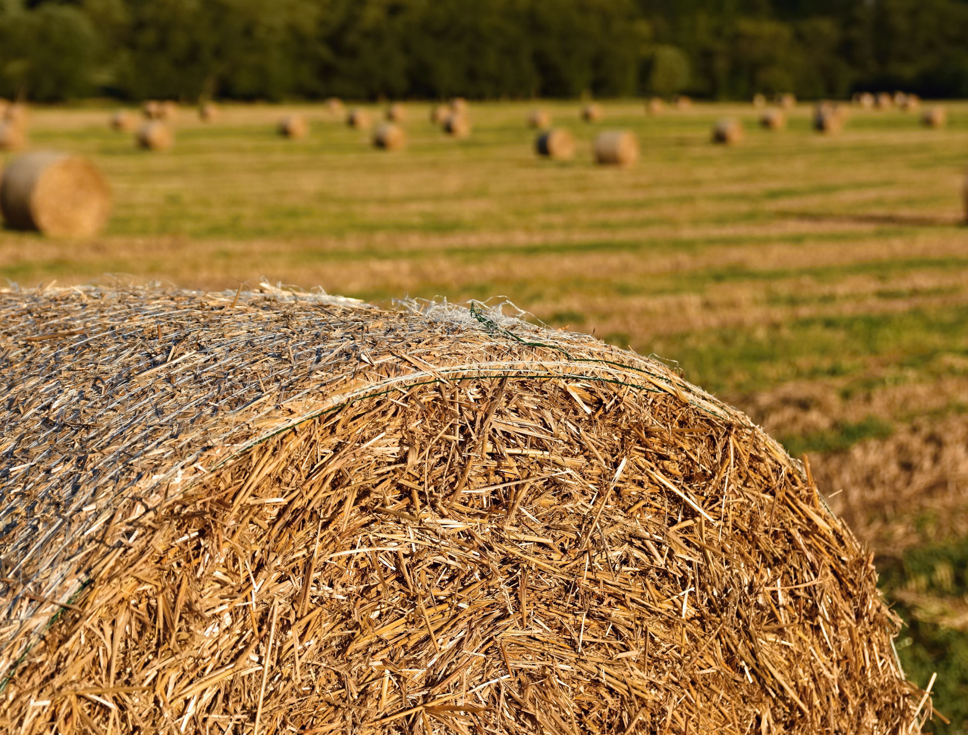 Transporte agrícola | Transporte y Cereales Chico Martín